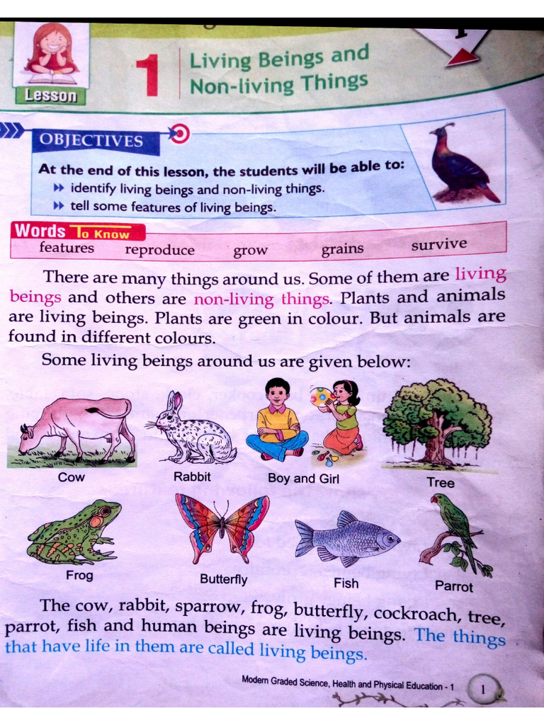 Class 1 Lesson 1 | PDF