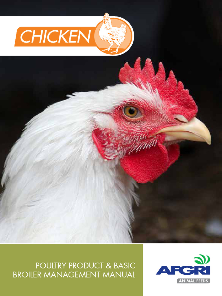 Poultry Broiler Management Guide | PDF | Broiler | Birds