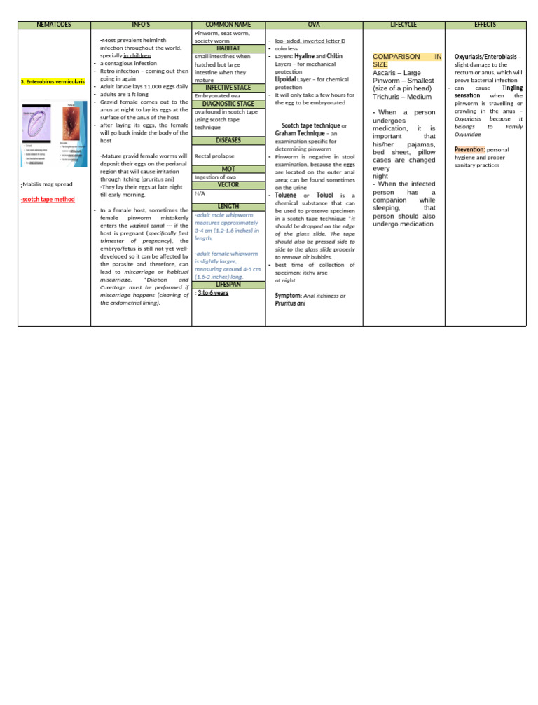 3. Enterobius vermicularis NEMATODES - Copy | PDF | Medical Specialties ...