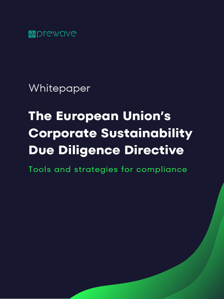 The European Union's Corporate Sustainability Due Diligence Directive ...