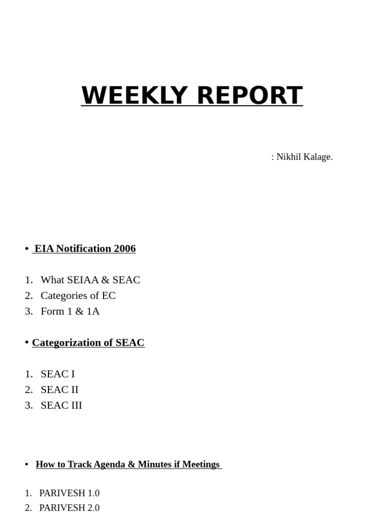 Weekly Report | PDF