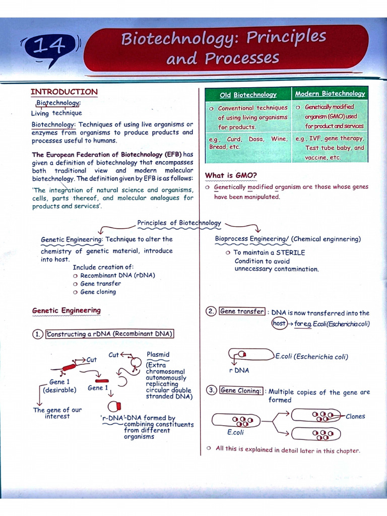 Biotechnology Principles and Processes by Team Kohinoor | PDF