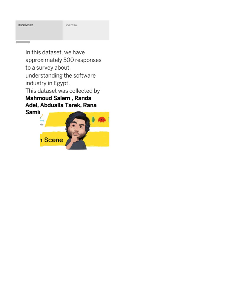 Survey Insights on Egypt's Software Industry | PDF | Startup Company ...