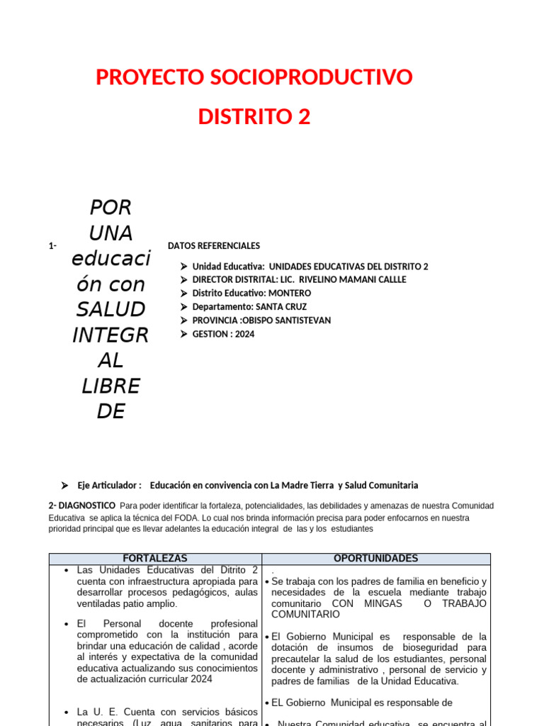 Proyecto Socioproductivo Distrito 2 2024 | PDF