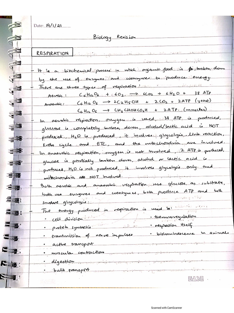 Biology Shortened Revision Notes | PDF