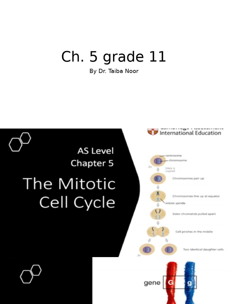 Ch. 5 Grade 11 | PDF