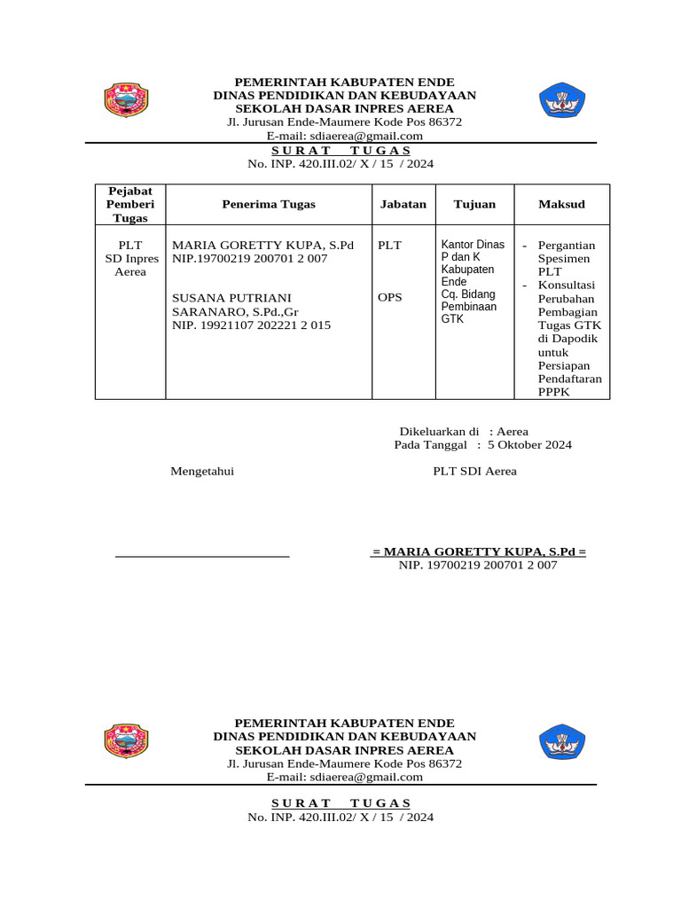 SURAT TUGAS PLT | PDF