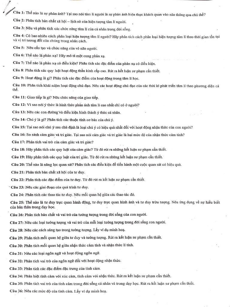 TLH Cau Hoi Tu Luan Cau Hoi Tu Luan Thi Cuoi Ky | PDF