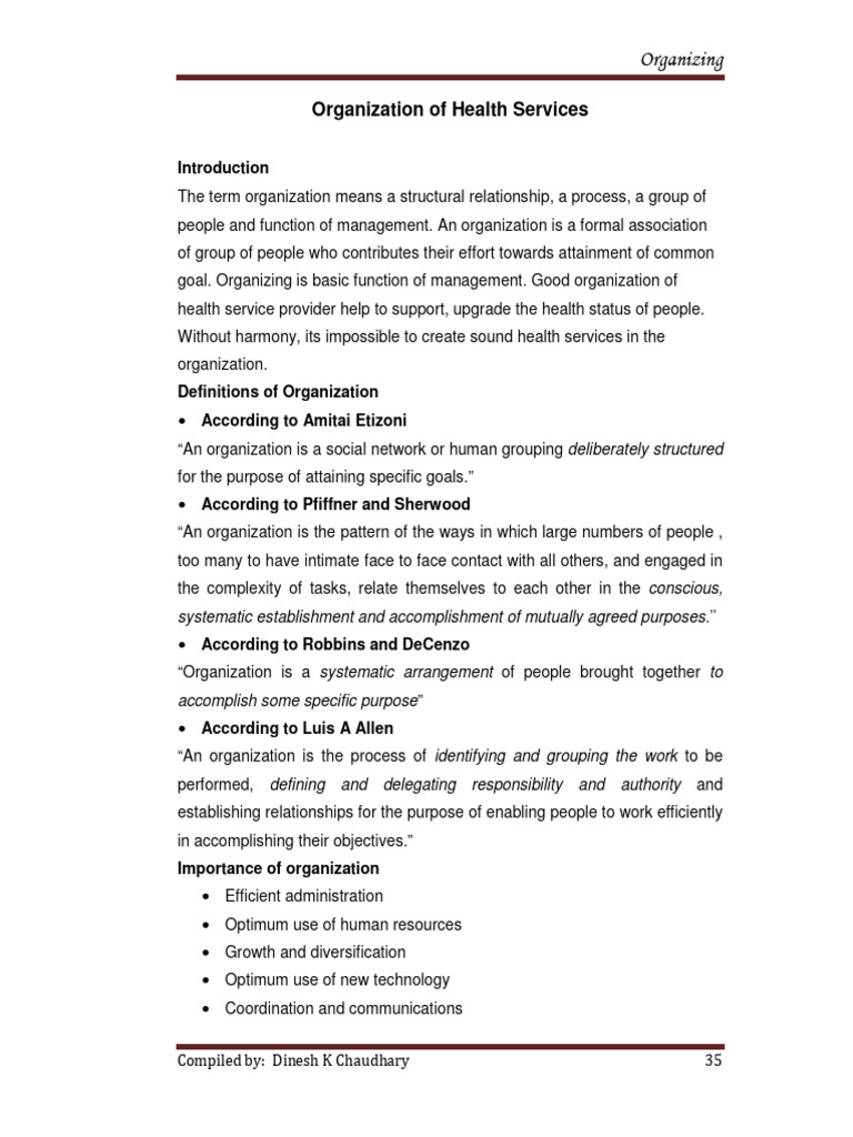 003 Organization of Health services | PDF | Organizational Behavior ...