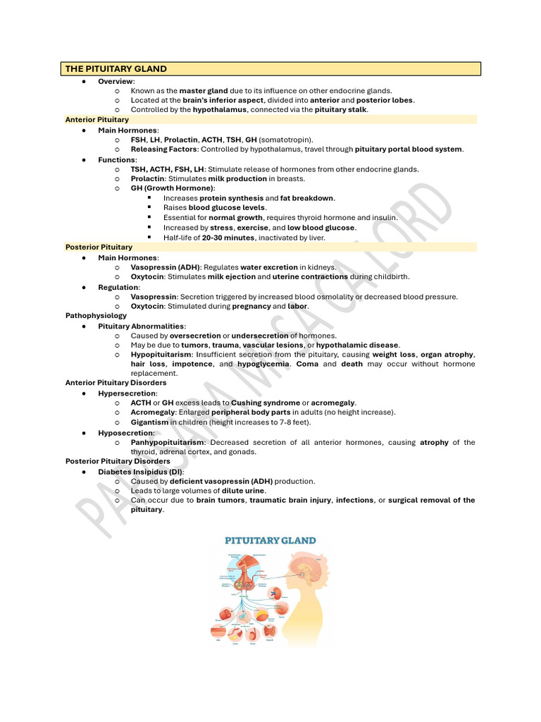 Metabolic-and-Endocrine-Function-PITUITARY-GLAND | PDF | Pituitary ...