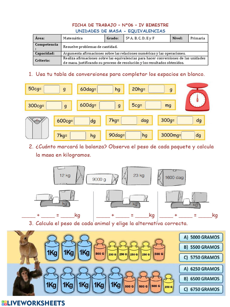 Preposiciones, conjunciones, interjecciones | PDF