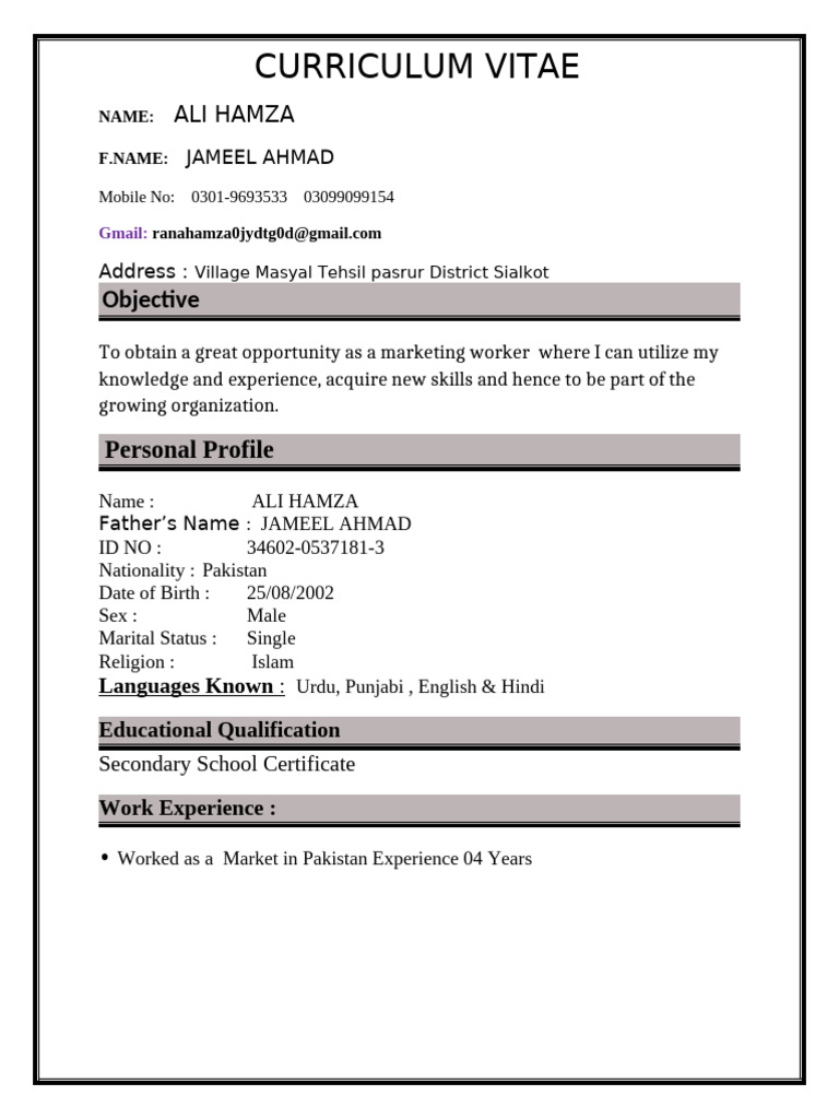 Cv Format Hamza | PDF