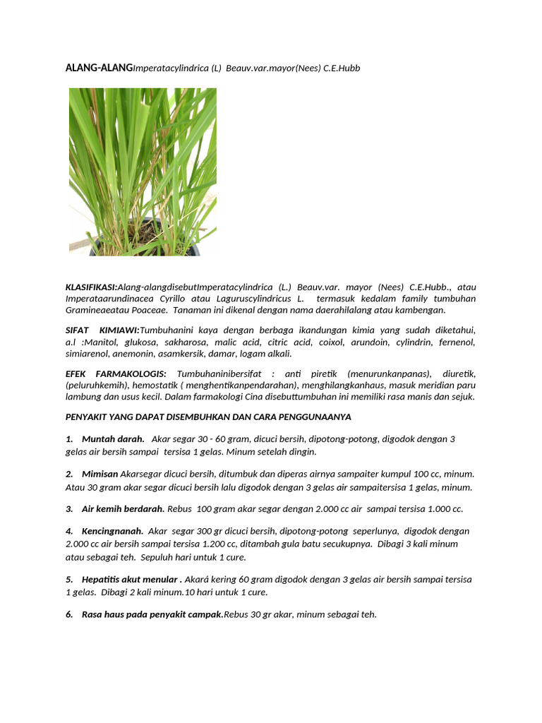 Manfaat Alang-Alang dalam Pengobatan Herbal | PDF