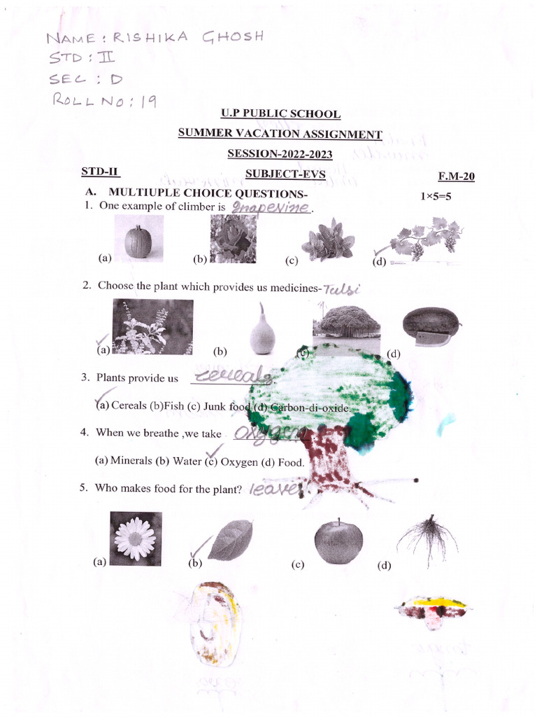 Summer Assignment EVS Answer Sheet | PDF