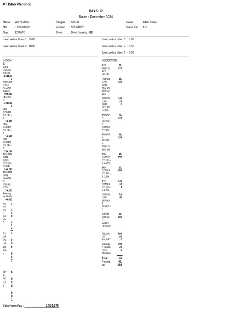 Bud Report Payroll Payslip | PDF
