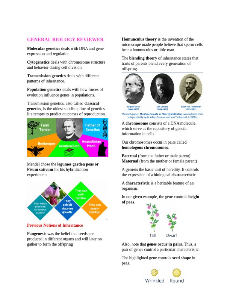 General Biology Reviewer 2ND Semester 1 | PDF | Dominance (Genetics ...