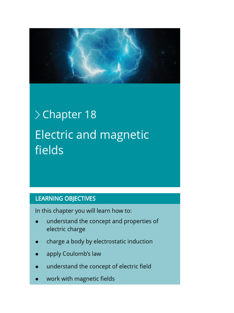 Physics D.2 | PDF | Electric Charge | Magnetic Field