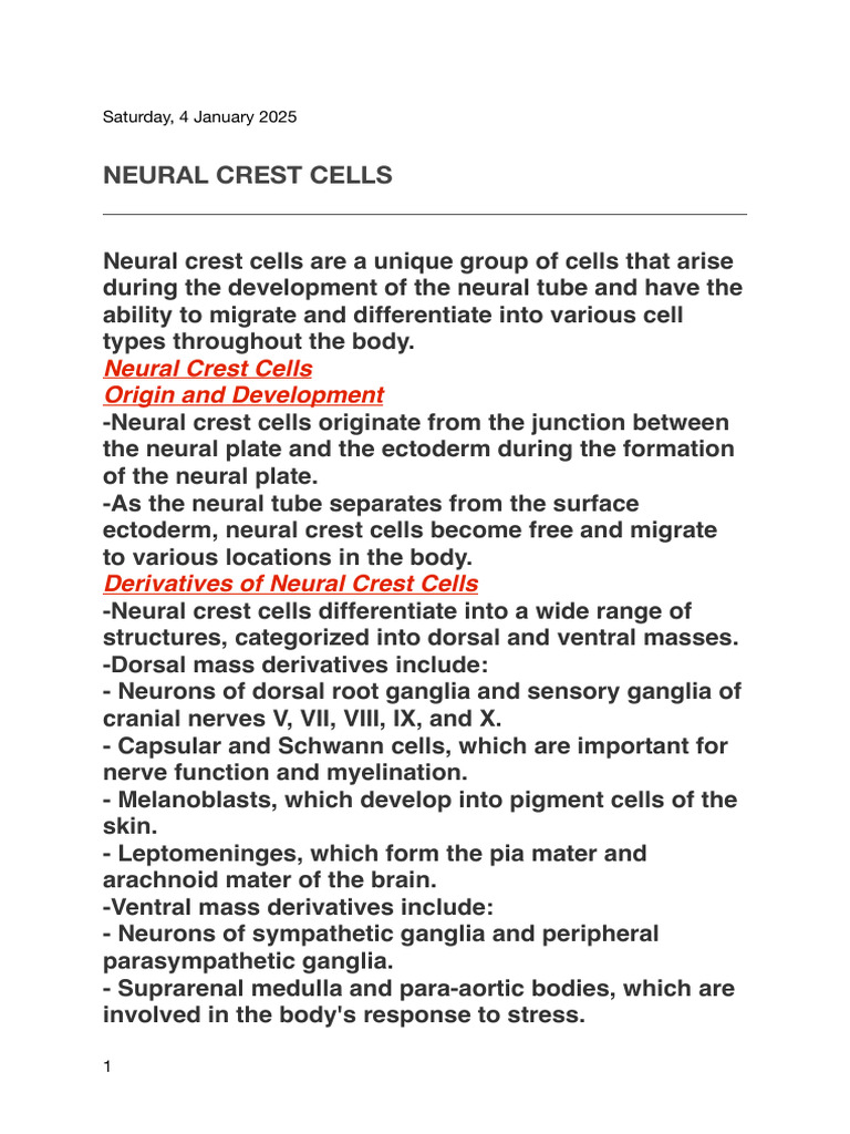 Neural Crest Cells | PDF