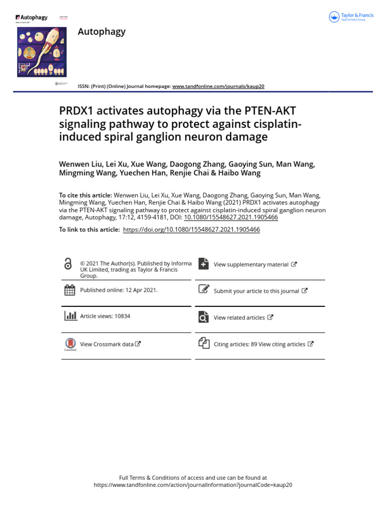 PRDX1 Activates Autophagy Via The PTEN-AKT Signaling Pathway To Protect ...