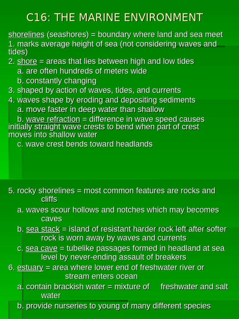 Marine Environment C16 | PDF | Seabed | Coast