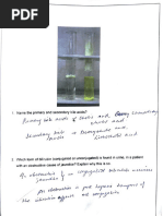 Fouchet's Test for Bilirubin in Urine | PDF | Chemical Substances ...