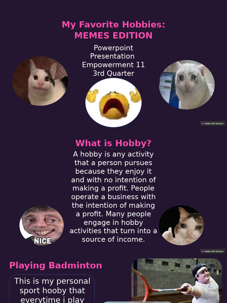 My Favorite Hobbies Explained | PDF