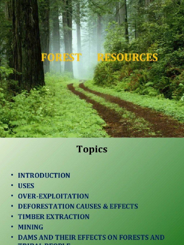 Forest Resources | PDF