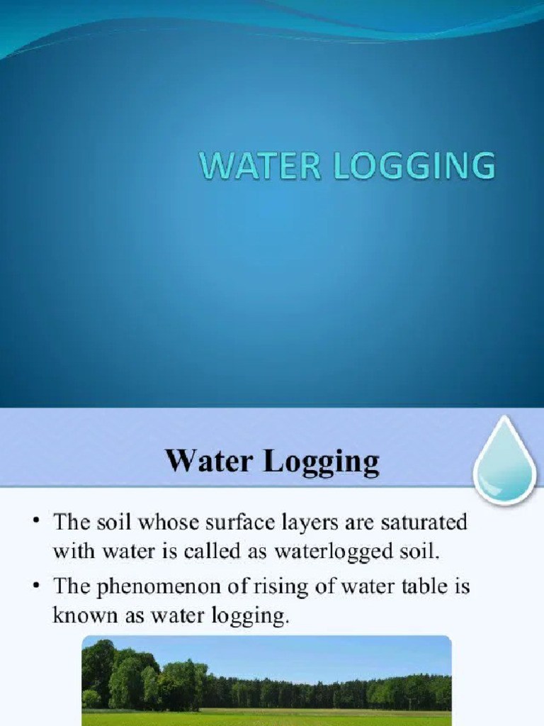 Water Logging and Salinity | PDF