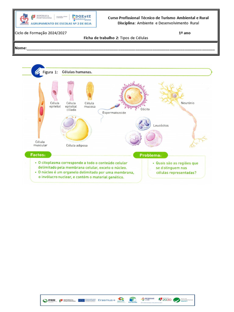 Ficha trabalho nº2 - Célula | PDF