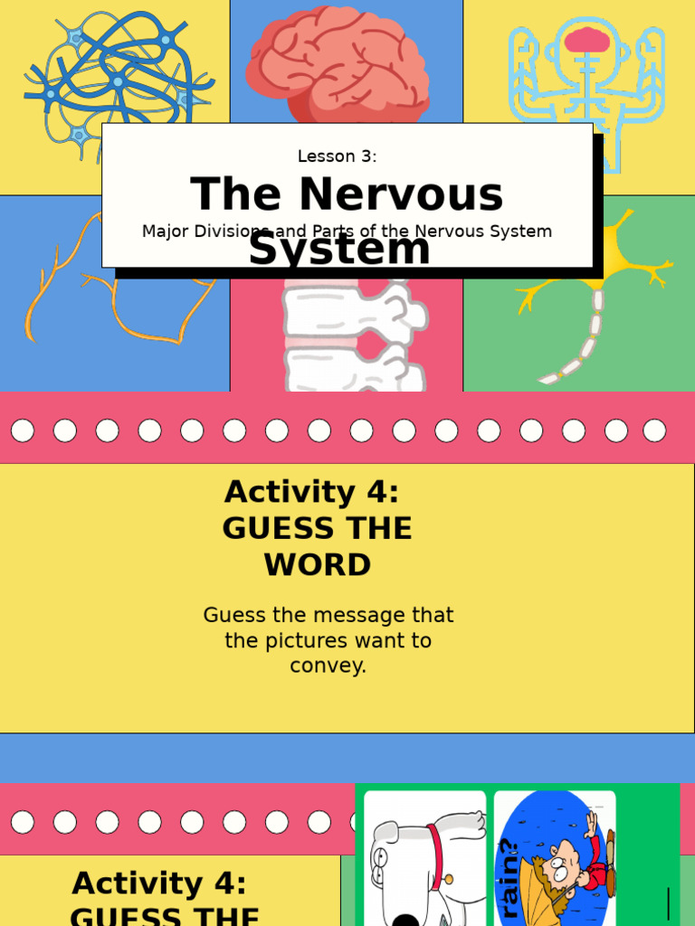 Nervous System | PDF | Nervous System | Neuron