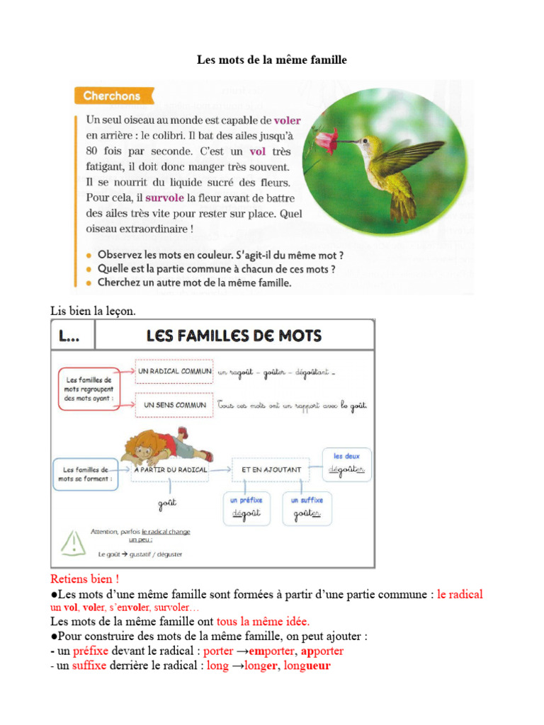 Vocabulaire Les Mots de La Meme Famille | PDF