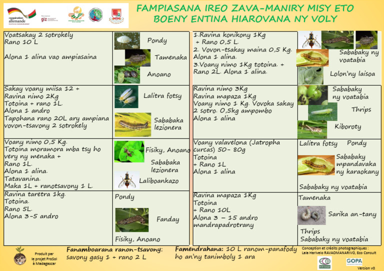 Ady Gasy 2022 MG | PDF