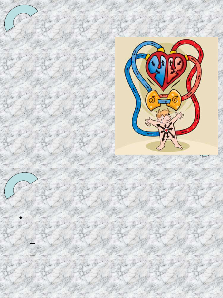 Sistem Kardiovaskular 1 | PDF