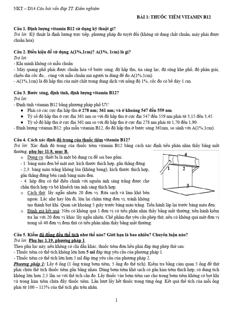 Câu Hỏi Chuẩn Bị Bài TT KN Tham Khảo D16 | PDF