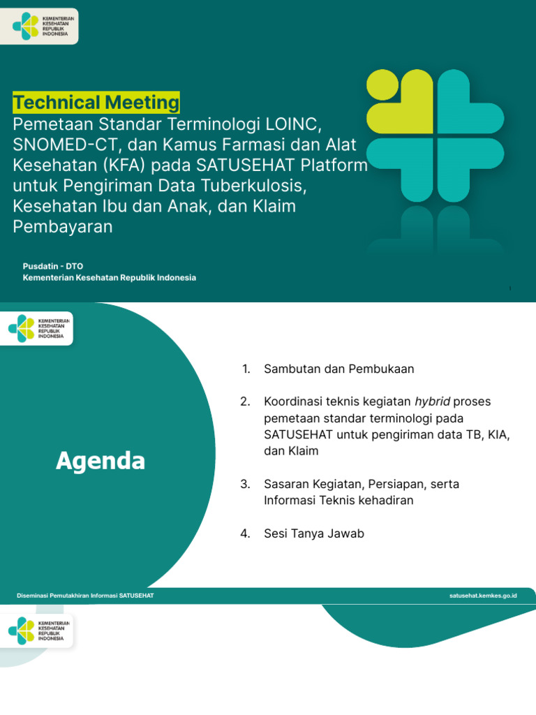 15 Feb 2024 - TechMeet Pemetaan Standar Terminologi SATUSEHAT | PDF