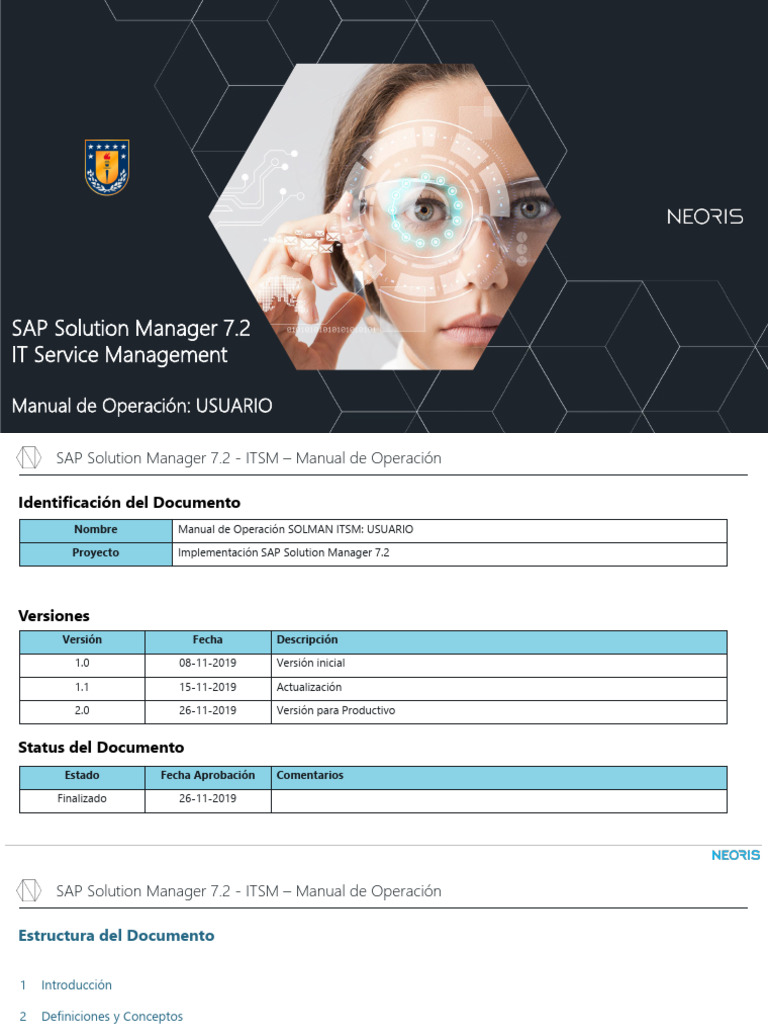 Manual USUARIO SolMan ITSM-1 | PDF | Contraseña | Usuario (informática)