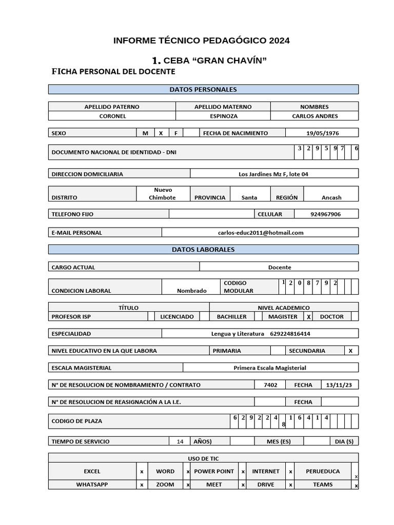Formato Informe Tecnico Pedagogico 2024 | PDF | Enseñando | Aprendizaje