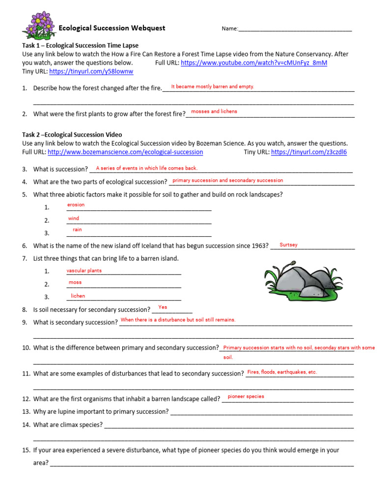 Carson Kirkley - Ecological Succession Webquest | PDF | Ecology ...