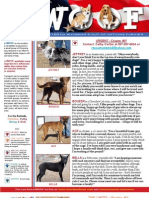 About Project DOG | PDF | Dogs | Pet