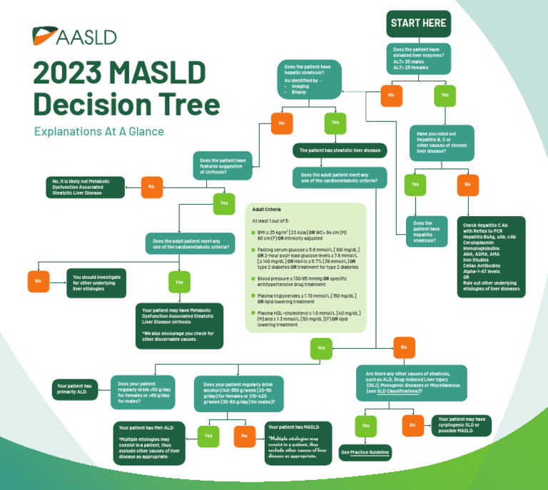 2023 MASLD Decision Tree Guide | PDF | Hepatitis | Medical Specialties
