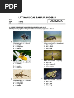 Materi Cambridge Kelas 1 | PDF