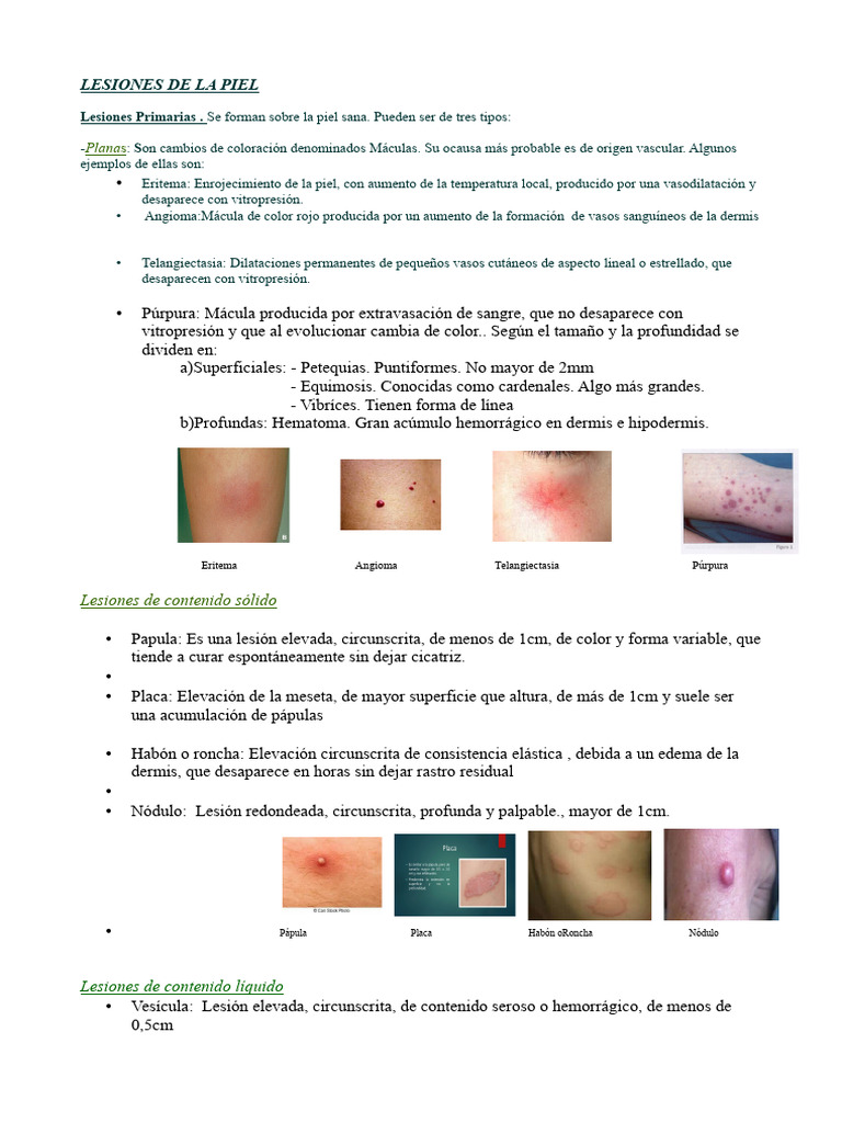3 La Piel Lesiones | PDF | Piel | Especialidades Medicas