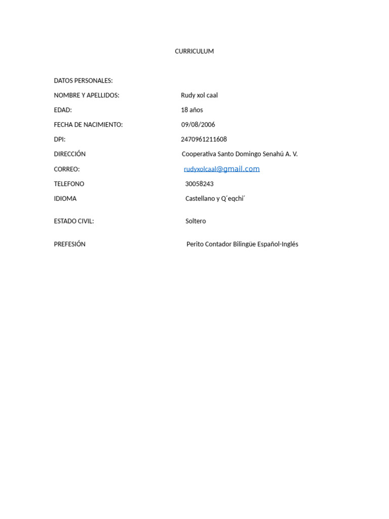 Rudy Xol Caal Curriculum | PDF