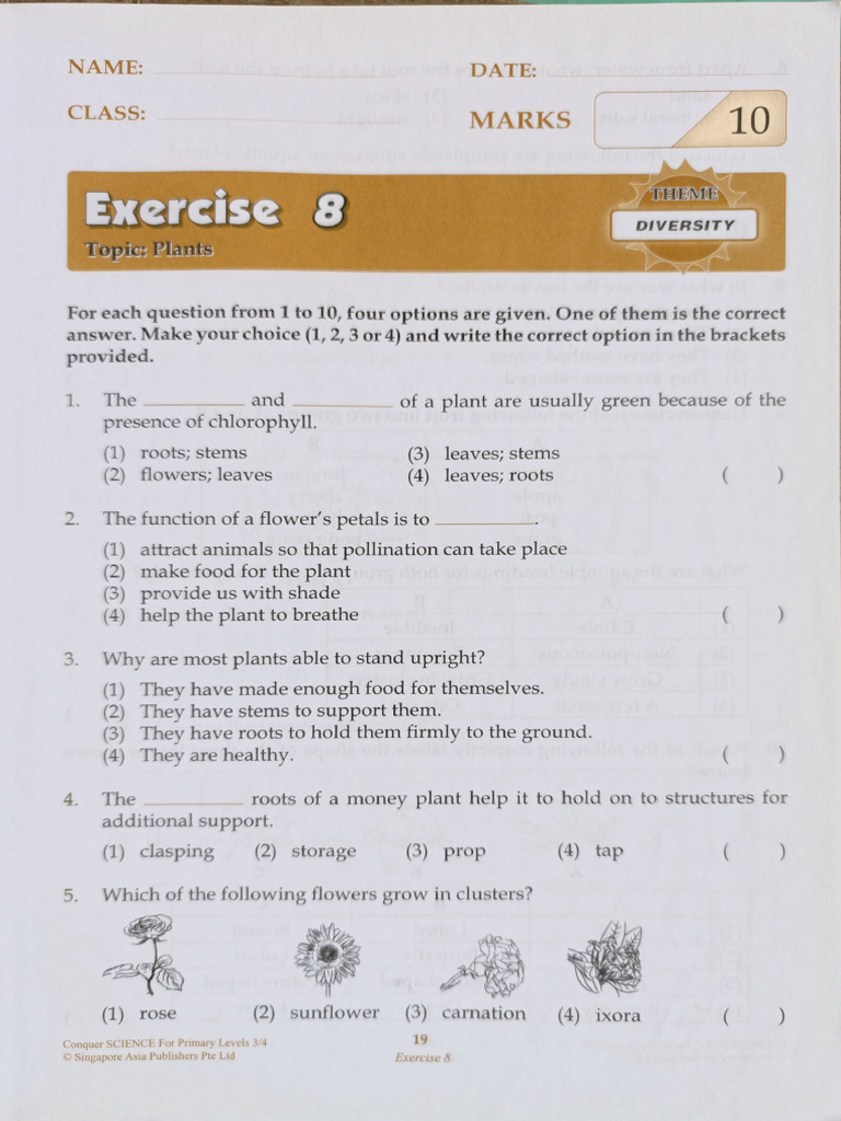 Plant_classification_exercises_fe2e8e5d-4e5d-4713-b343-95c37a13eb99 | PDF