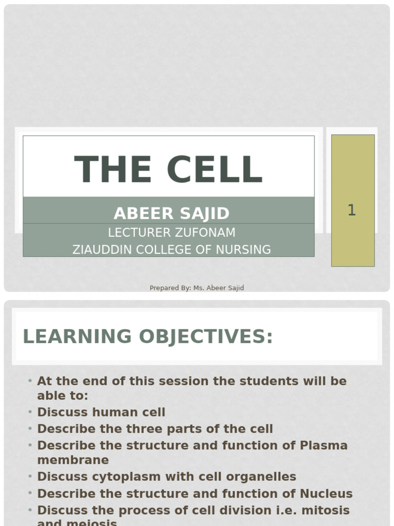 3A-The Cell | PDF | Endoplasmic Reticulum | Meiosis