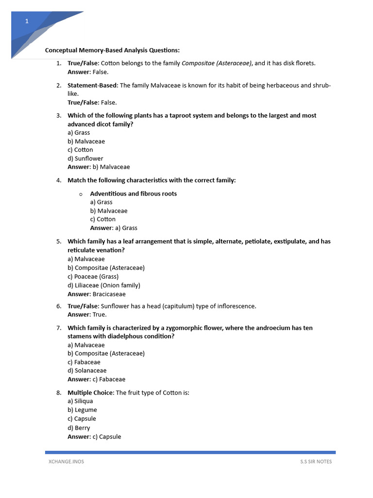 Conceptual Memory Morphology Family | PDF | Petal | Flowers