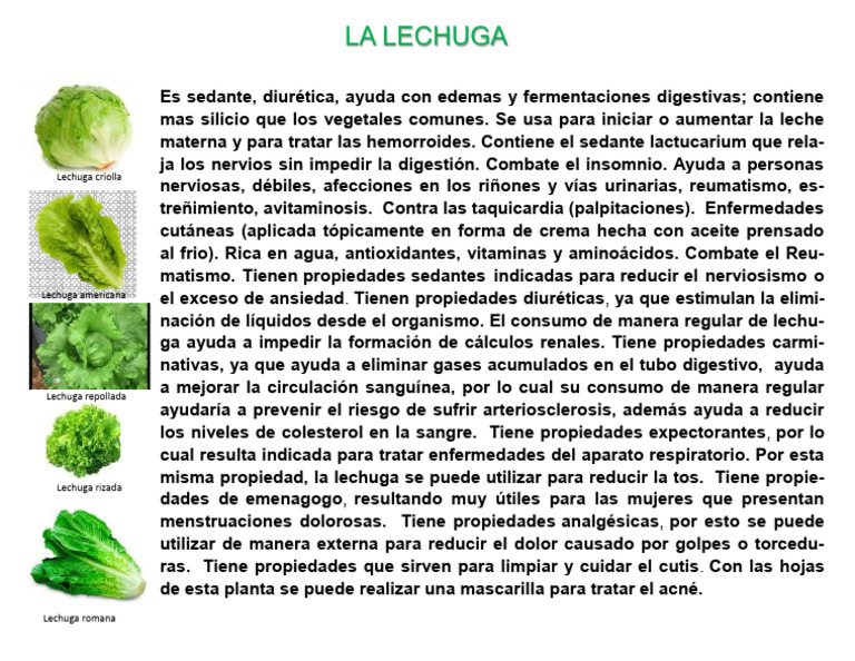 Beneficios de la Lechuga para la Salud | PDF