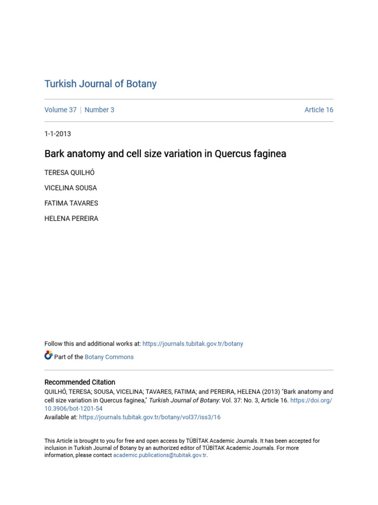Bark Anatomy and Cell Size Variation in Quercus Faginea | PDF | Anatomy ...