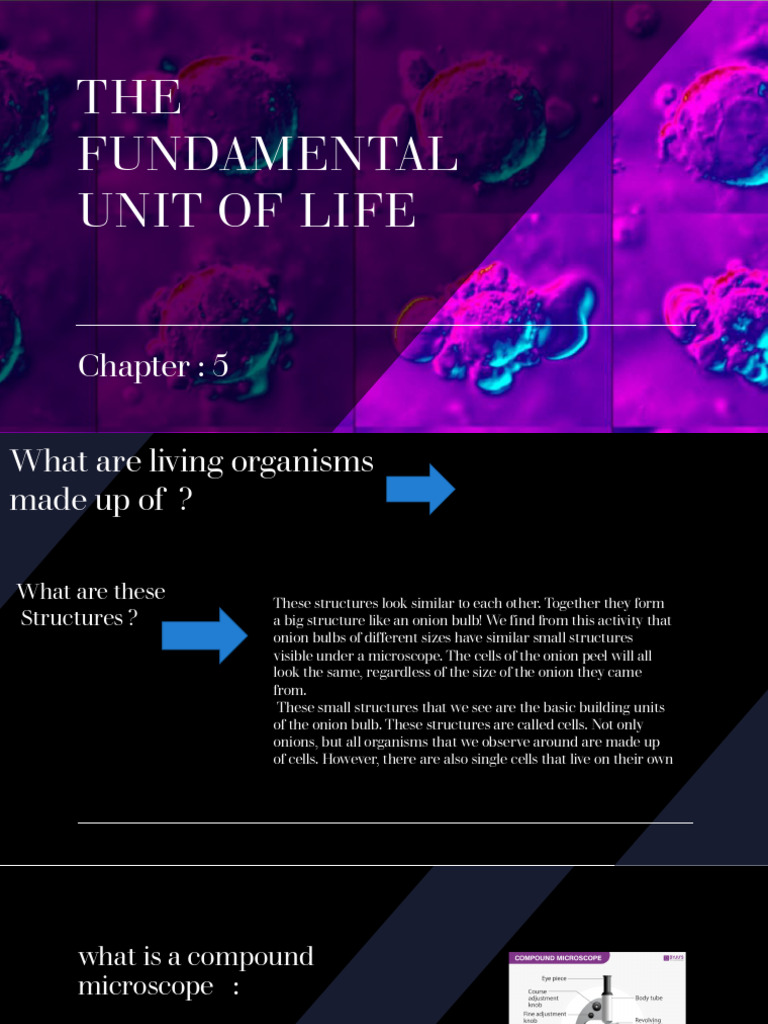 chapter 5 fundamental | PDF | Cell (Biology) | Chloroplast