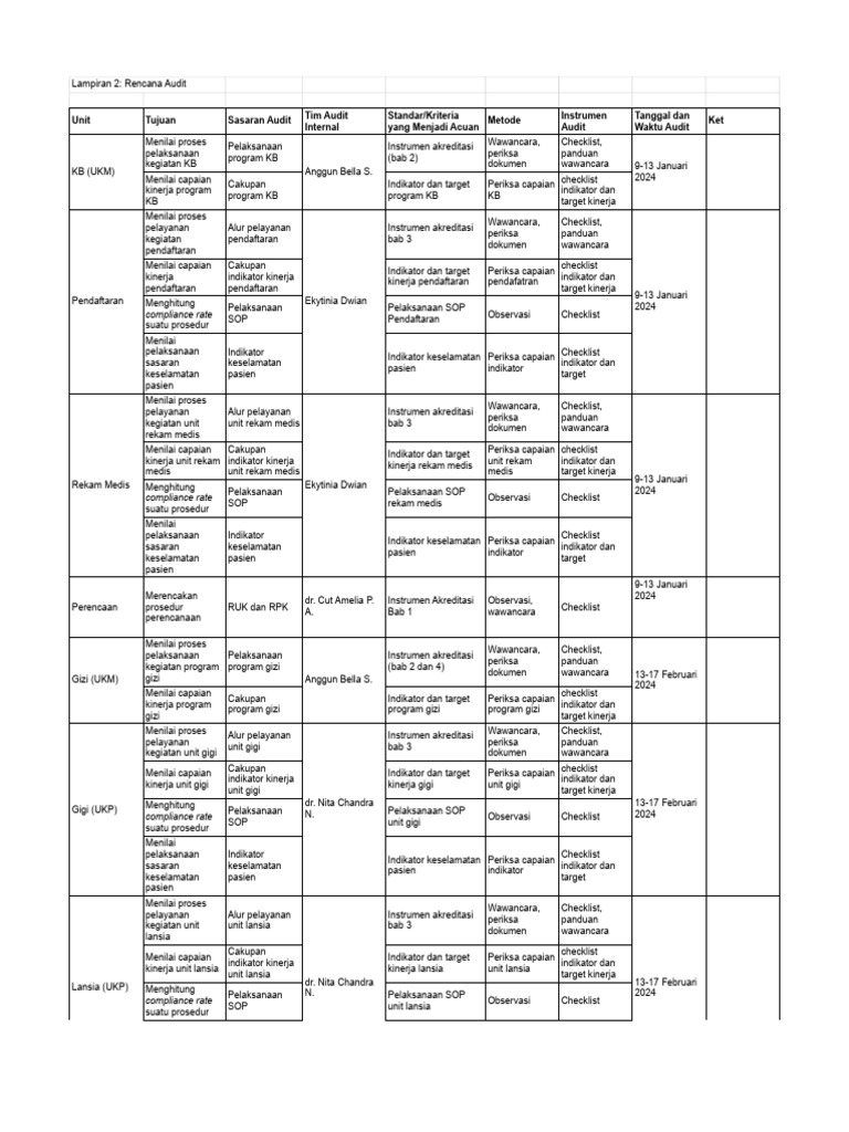 Audit Plan 2024 | PDF